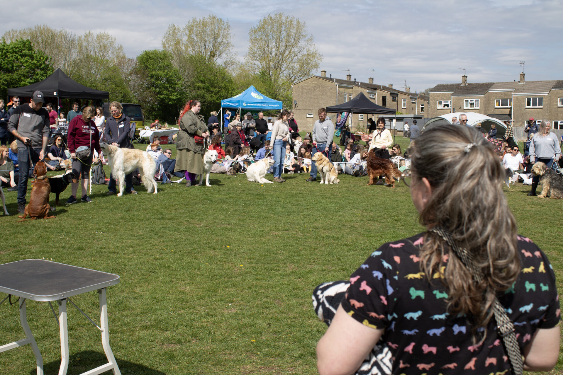 Fun Dog Show raises £2,600 towards Poulton Park play area - Bradford-on ...